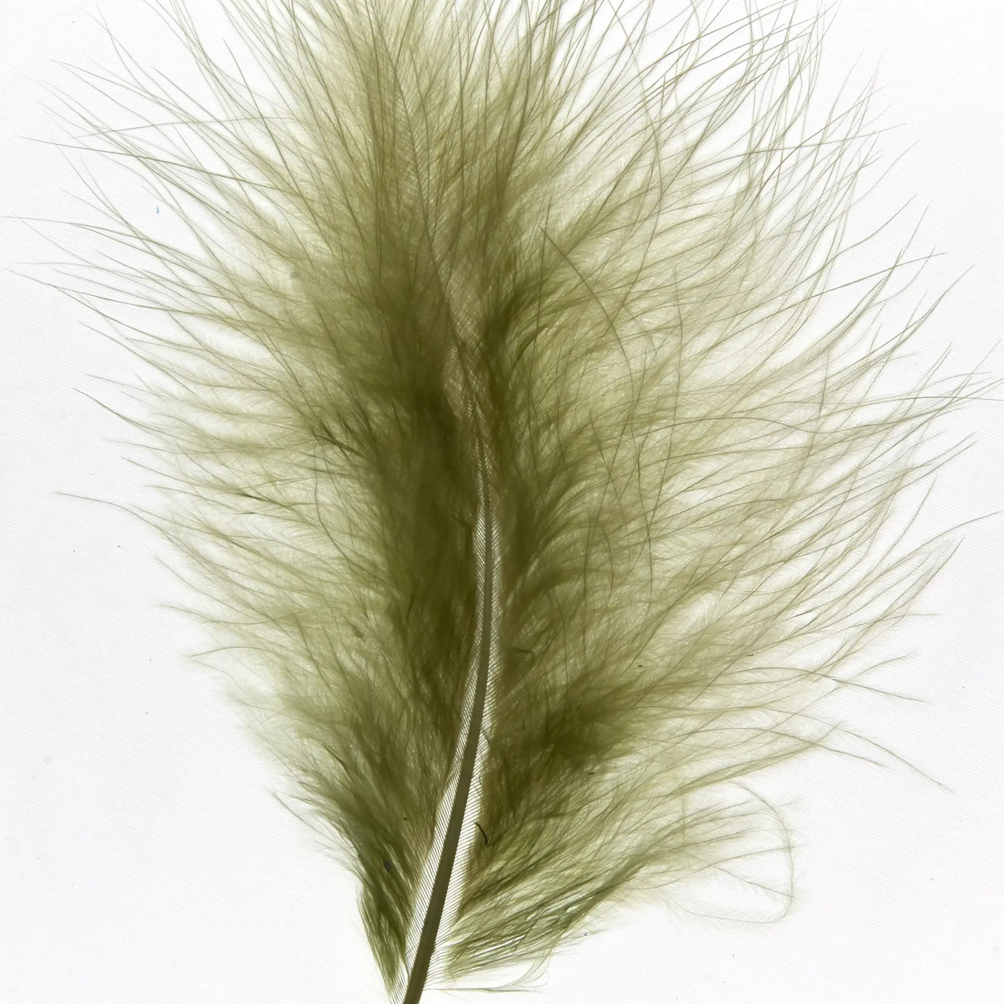 Green feathers – Enkels Feathers