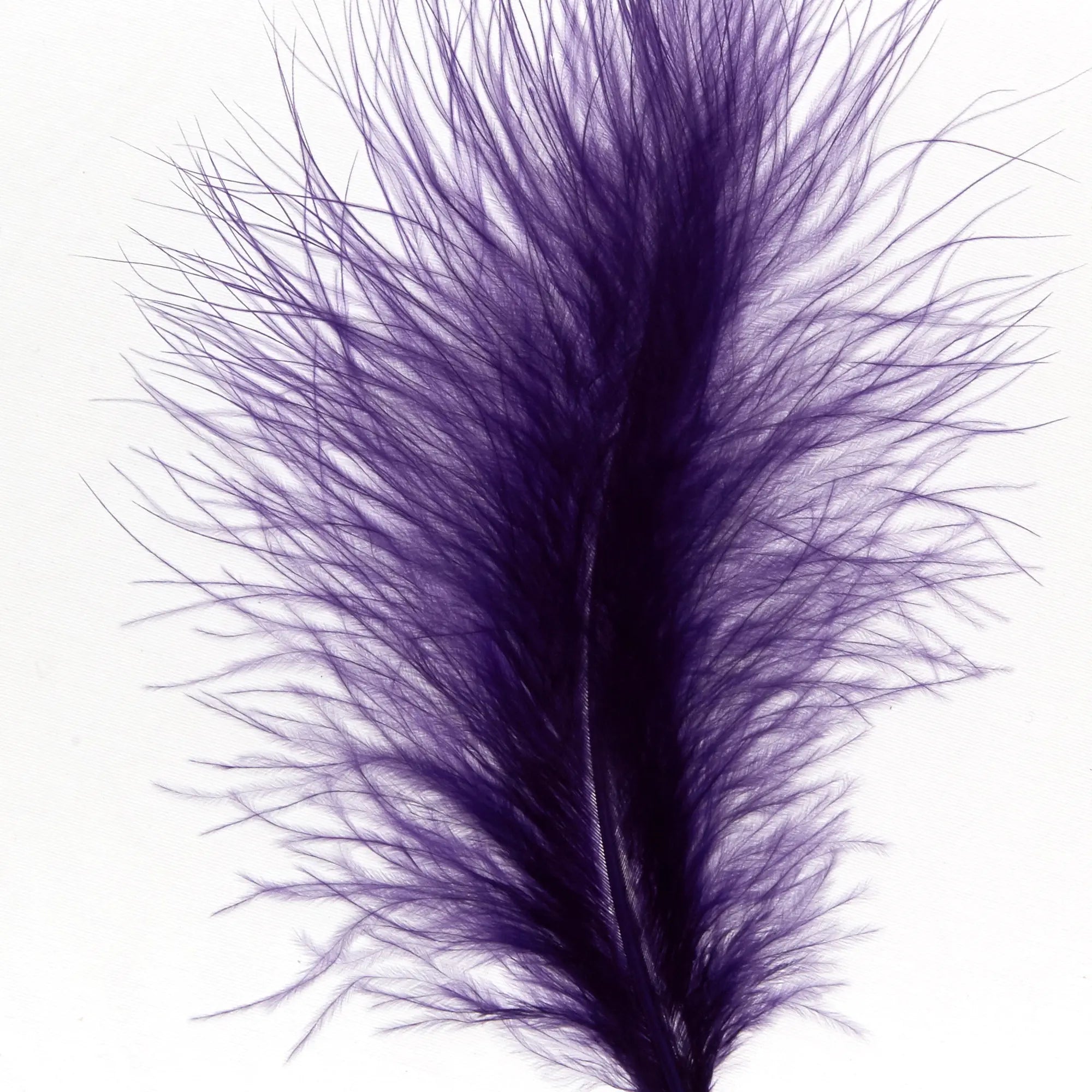 Purple feathers – Enkels Feathers