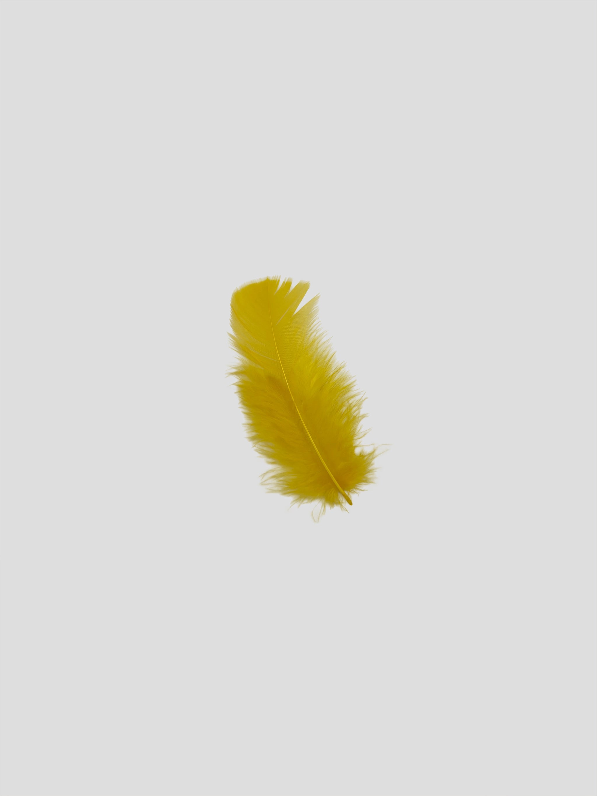 Turkey 10cm egg yolk – Enkels Feathers
